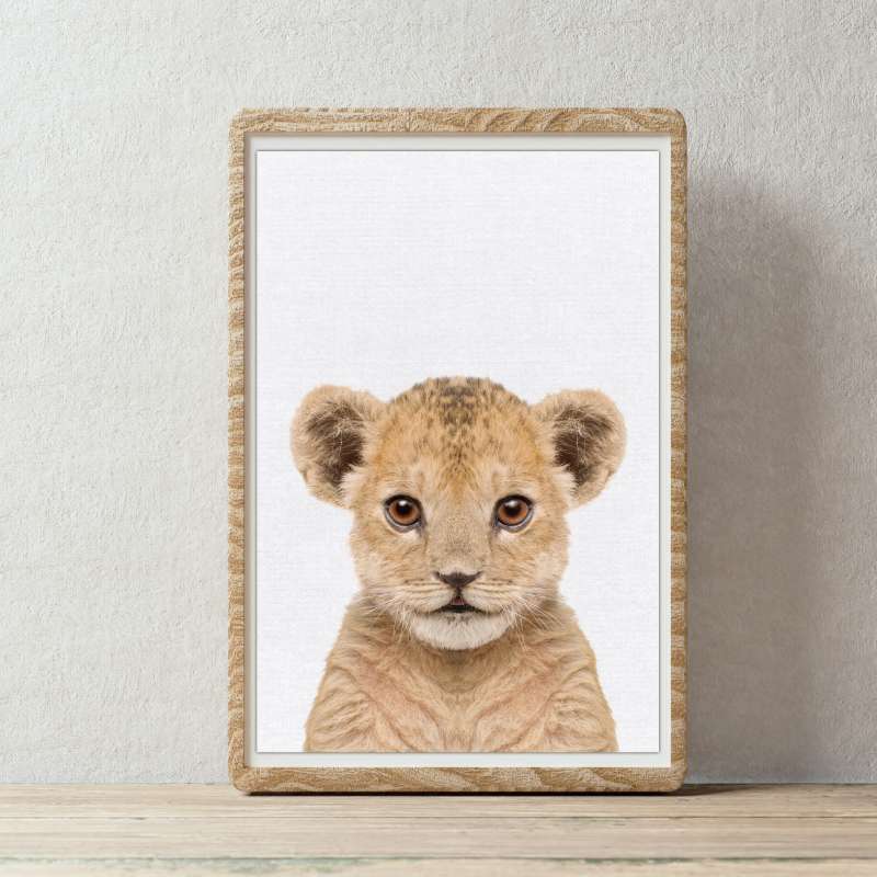 Safari Baby Lion Wall Art Print for Nursery & Kids Bedroom